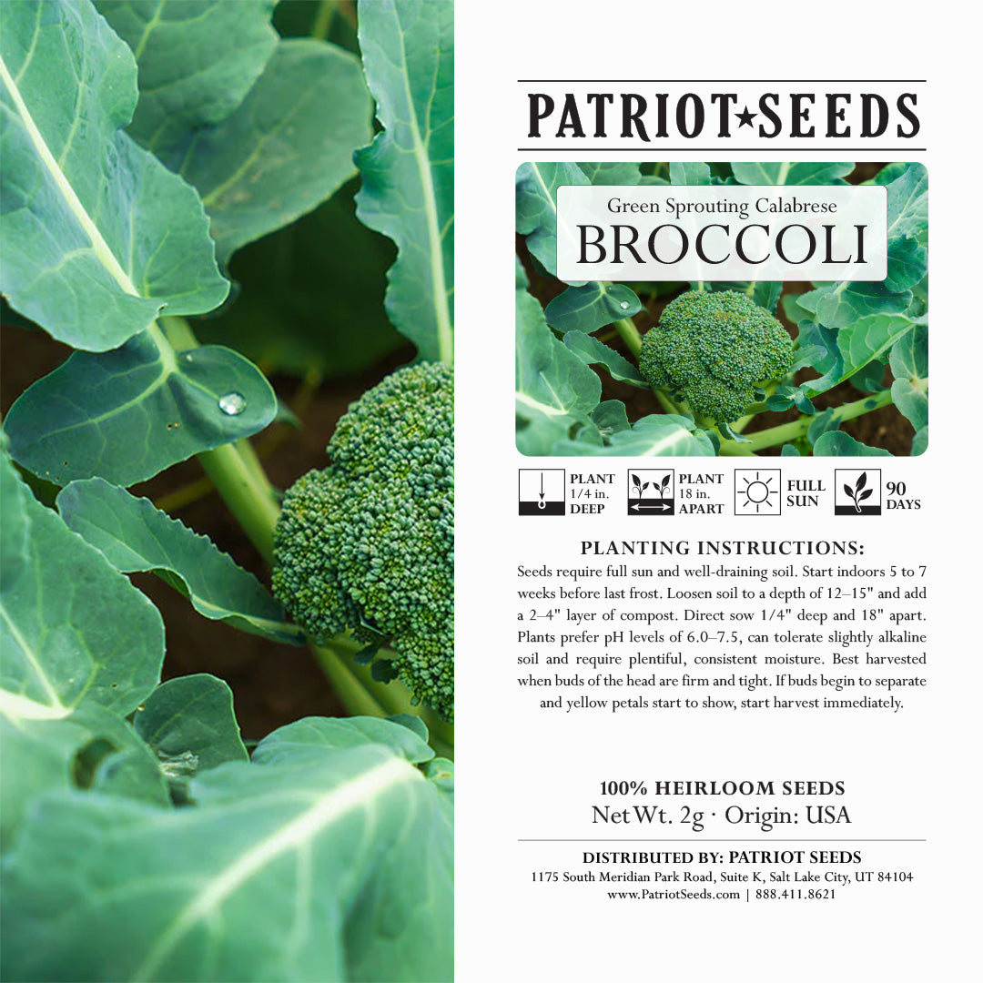 Heirloom Green Sprouting Calabrese Broccoli Seeds (2g) – Patriot Seeds