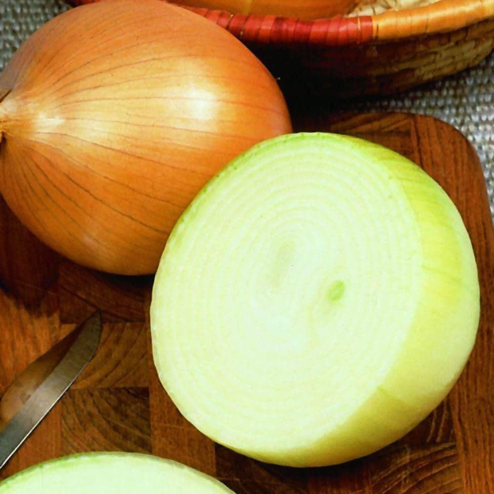 Patriot Seeds Heirloom Walla Walla Onion Seeds (.5g)