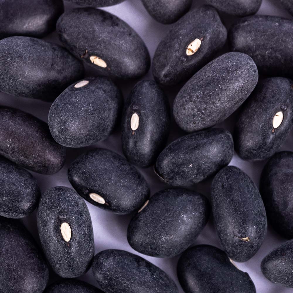 Heirloom Black Turtle Bush Bean (10g) – Patriot Seeds