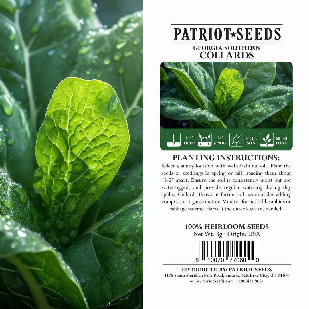 Patriot Seeds Heirloom Georgia Southern Collards Seeds (3g) | Non-GMO