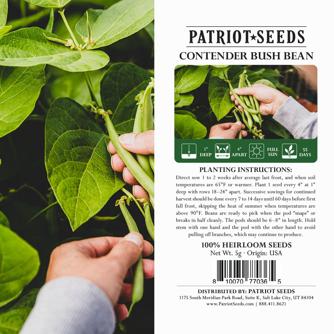 Patriot Seeds Heirloom Contender Bush Beans (5g) | Non-GMO