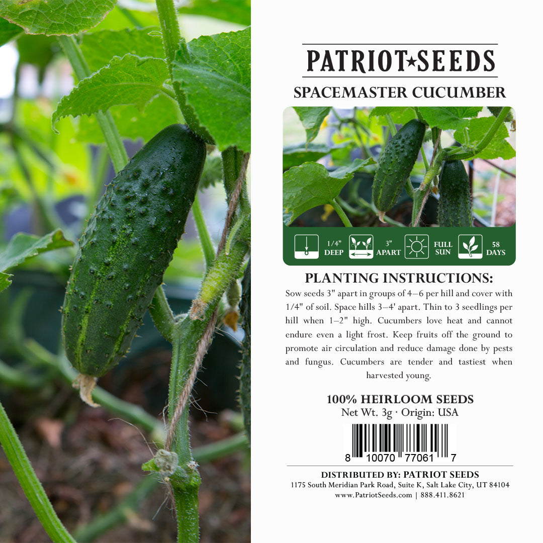 Patriot Seeds Heirloom Spacemaster Cucumber Seeds (3g)