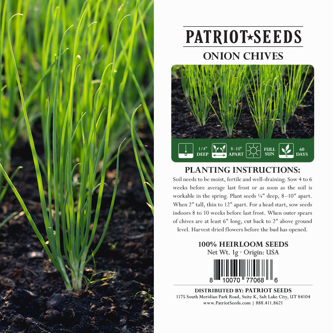 Patriot Seeds Heirloom Onion Chives Seeds (1g) | Non-GMO