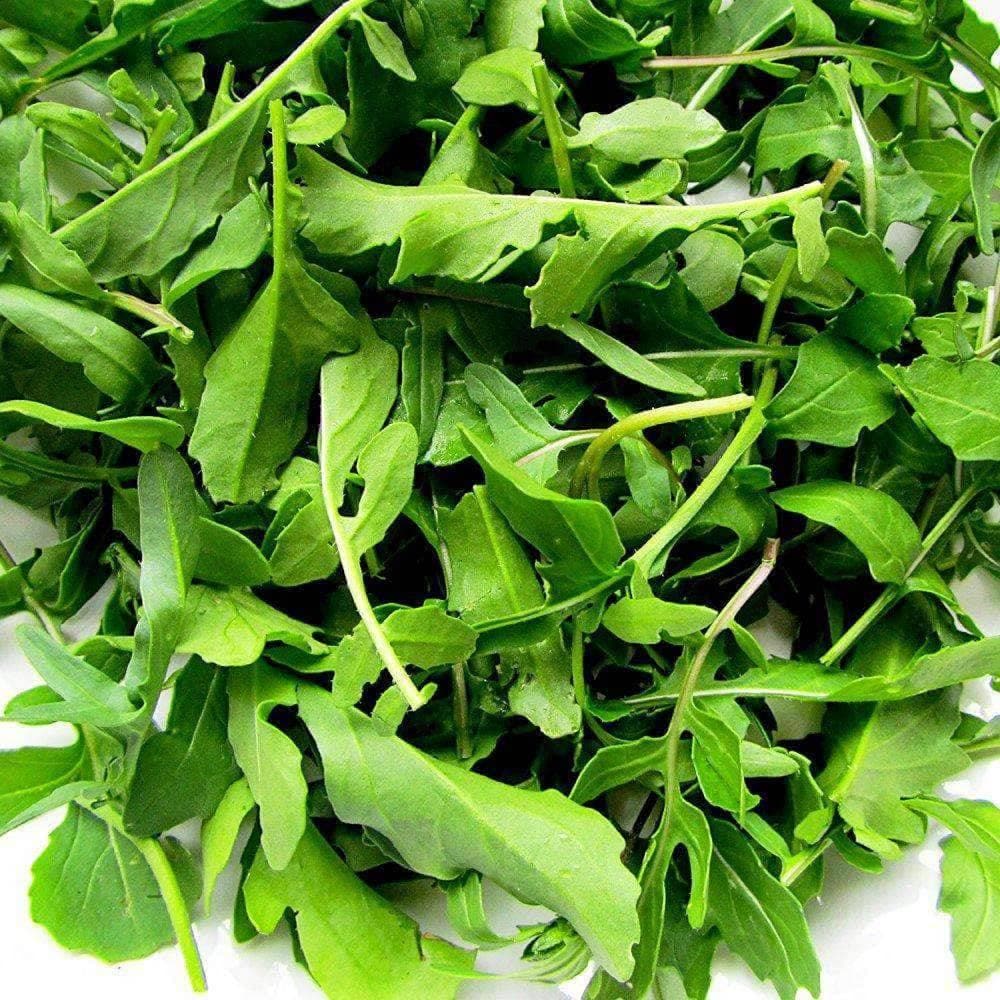 Arugula Roquette Herb Seeds (1g) | Heirloom, Non-GMO – Patriot Seeds
