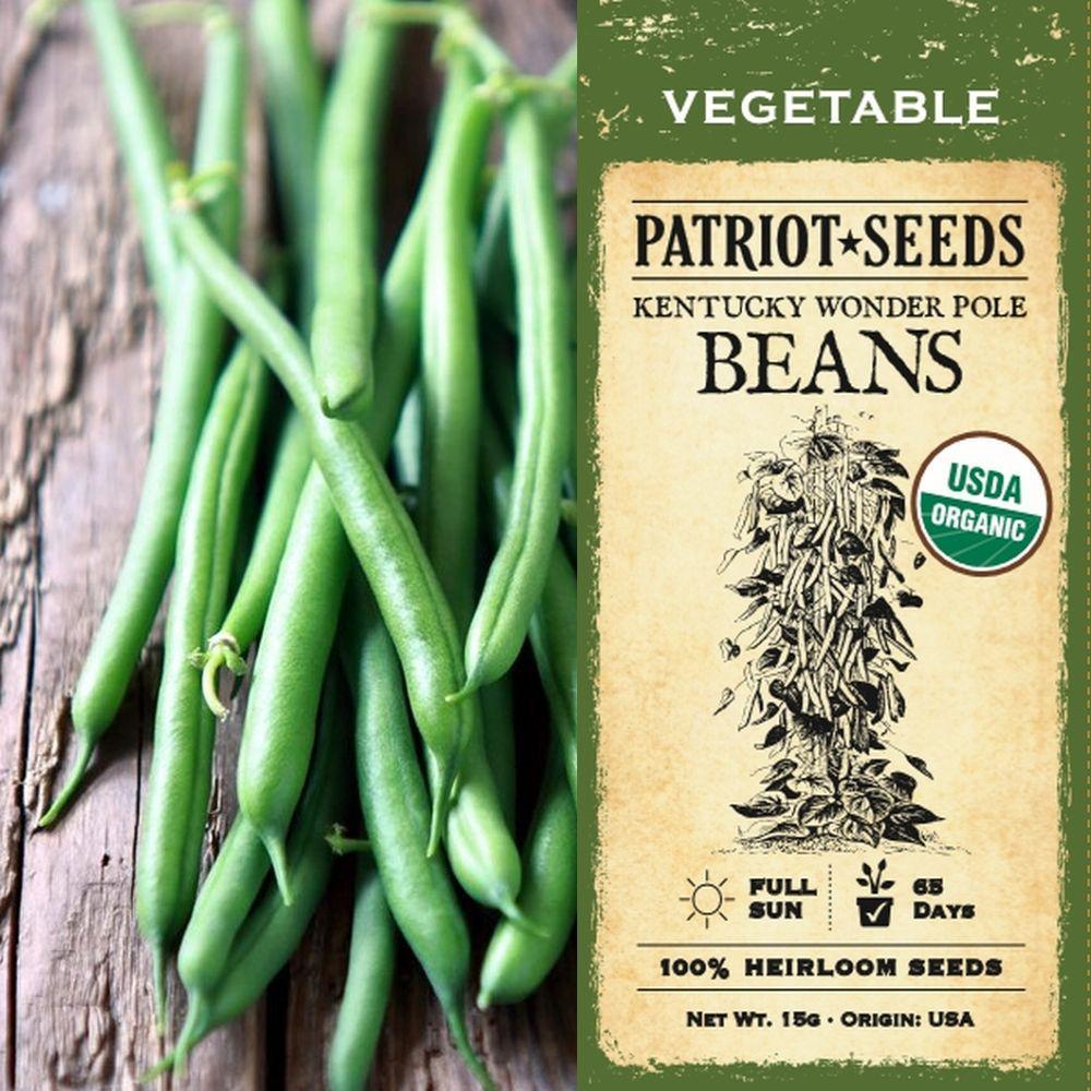 Kentucky Wonder Beans (15g) – Patriot Seeds